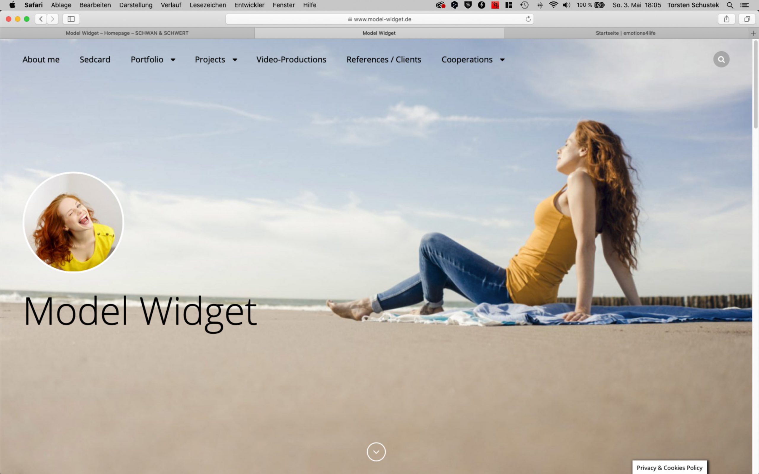 Model Widget - Homepage - Schwan & Schwert